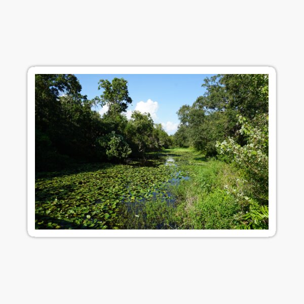 "Beautiful Lush Green Waterway " Sticker for Sale by Sparkleweather ...
