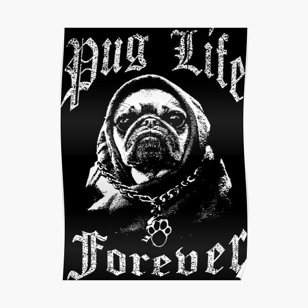 "Gangsta “Pug Life Forever”" Poster for Sale by elvindantes | Redbubble