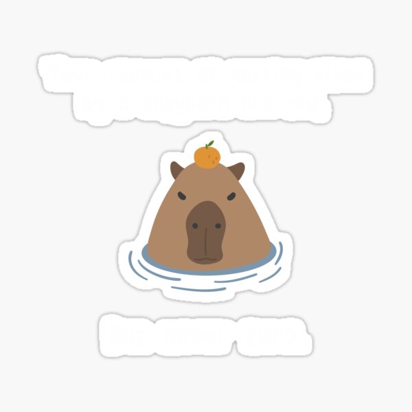 "Capybara Never Zero" Sticker for Sale by Clara Hollins | Redbubble