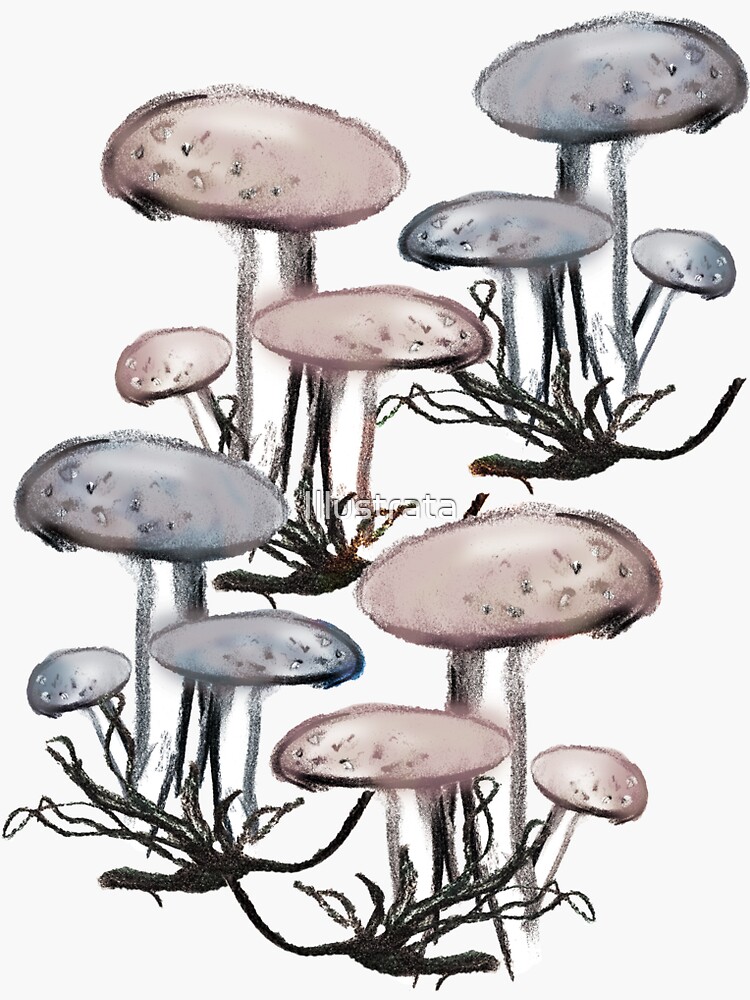 "Mushroom forestcore charcoal drawing pattern" Sticker for Sale by ...