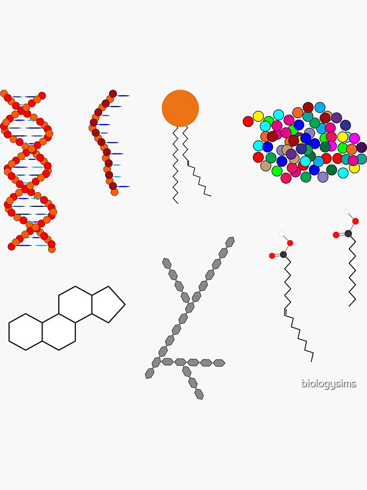 "Macromolecules" Sticker for Sale by biologysims | Redbubble