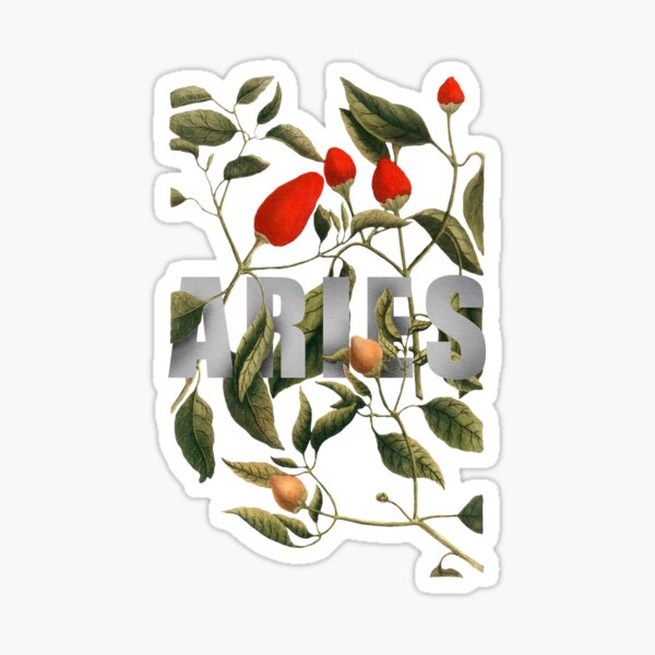 "ARIES" Sticker for Sale by Burcu Korkmazyurek | Redbubble