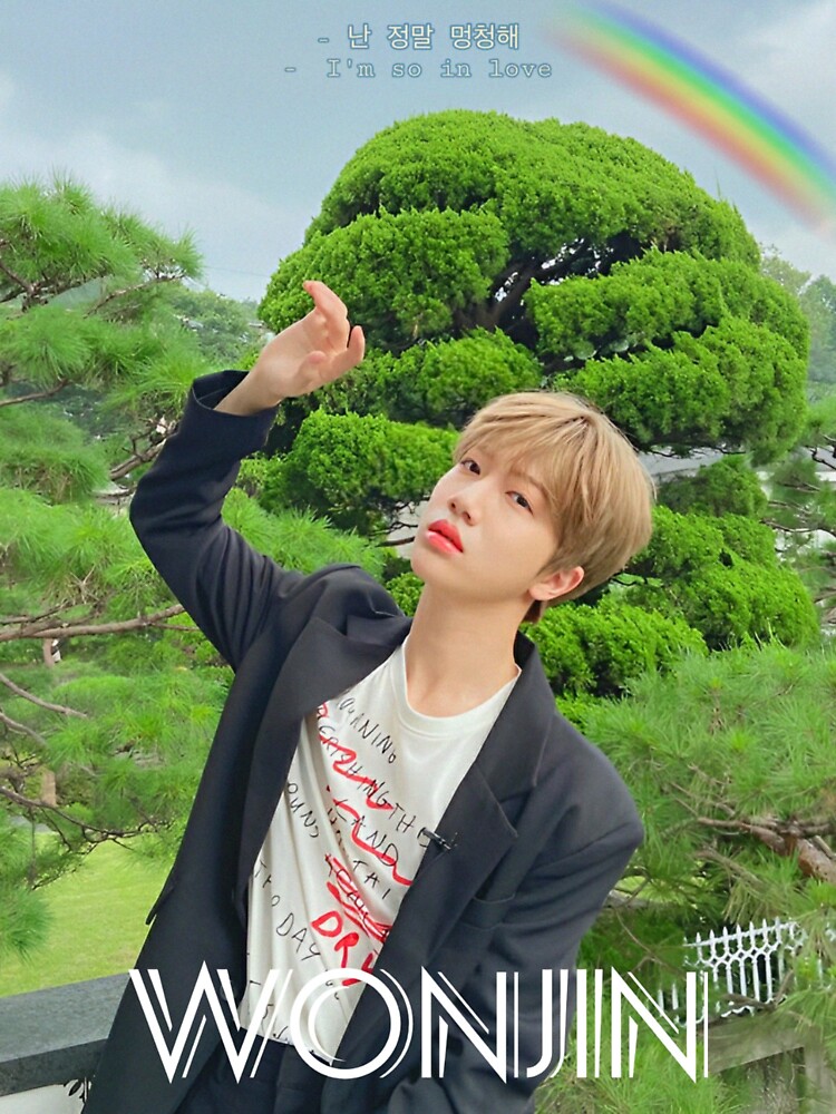 "Aesthetic Wonjin (Cravity)" Sticker for Sale by Rain6458 | Redbubble