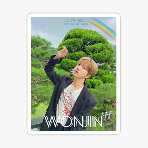 "Aesthetic Wonjin (Cravity)" Sticker for Sale by Rain6458 | Redbubble