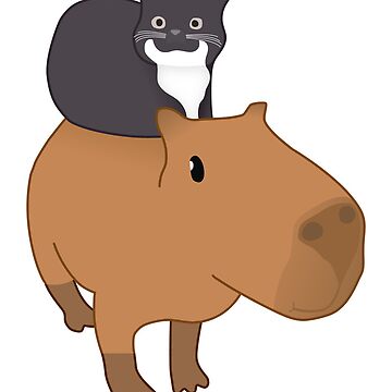 "Maxwell the Cat and Capybara Meme" Sticker for Sale by ZackSnacks ...
