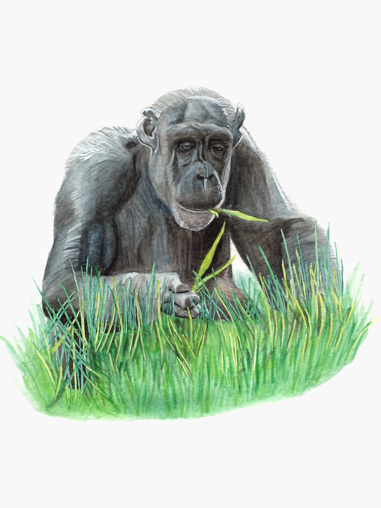 "Gorilla Chowing Down in his Meadow" Sticker for Sale by Maya Perera ...