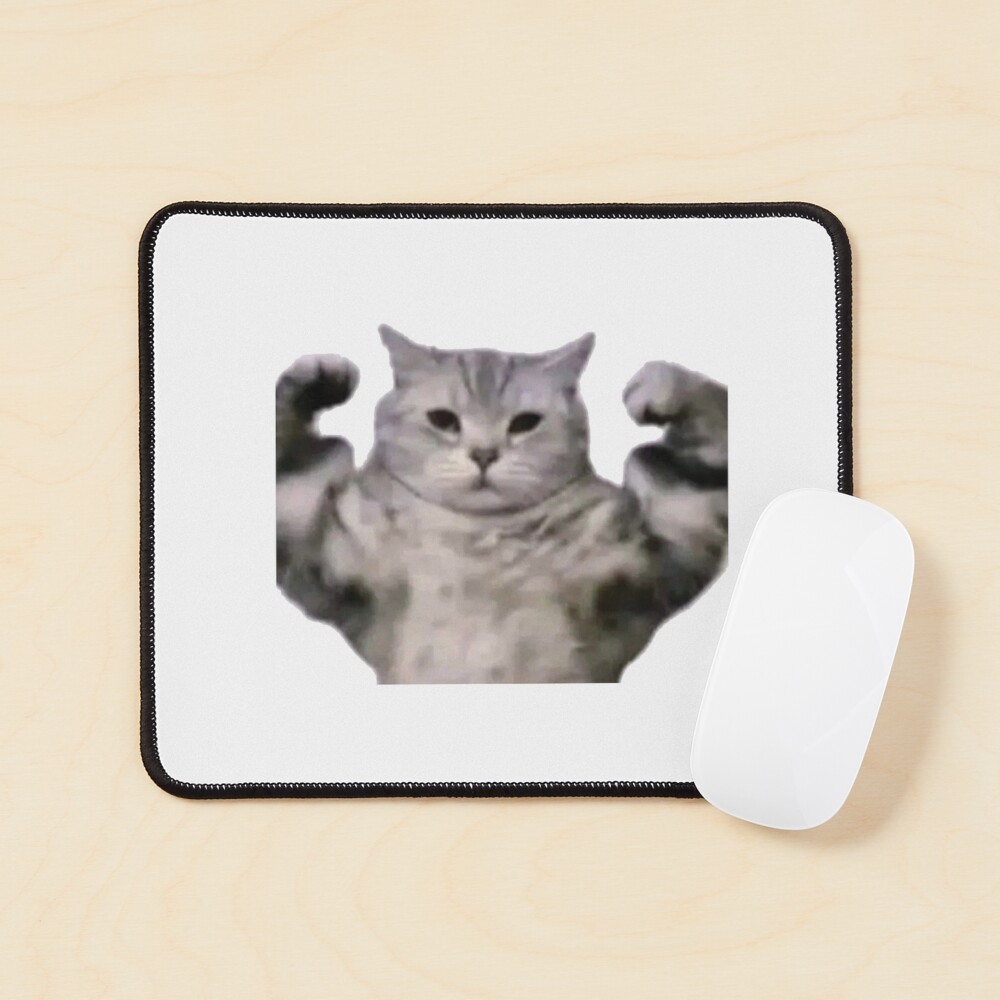 "Buff Cat Meme" Sticker for Sale by Fecal-Fashion | Redbubble