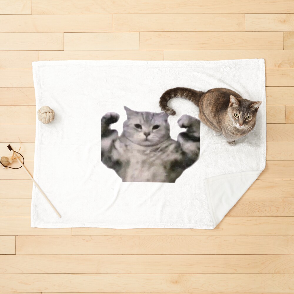 Buff Cat Meme Sticker For Sale By Fecal Fashion Redbubble