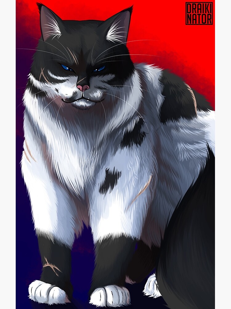 Póster «Darktail» de Draikinator | Redbubble