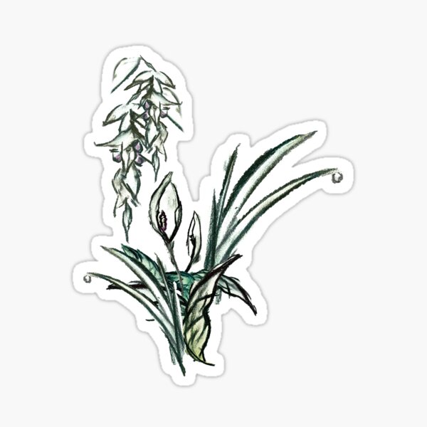 "Peace Lily and flowers, forestcore charcoal drawing pattern" Sticker ...