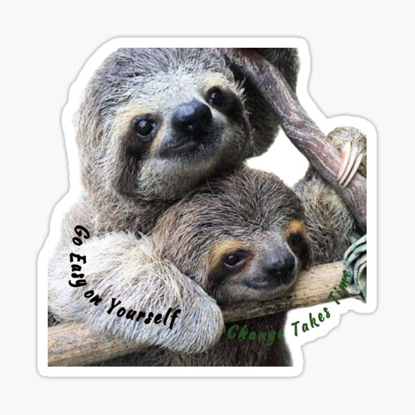 "Cute sloths, mom and baby sloths" Sticker for Sale by NickjustNick1 ...
