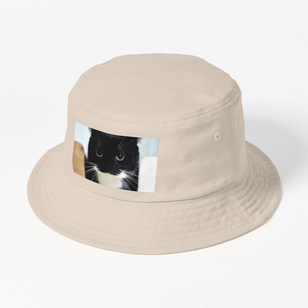 "Unico Uni Funny cat meme" Sticker for Sale by yuccaroot | Redbubble