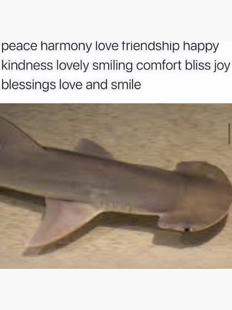 "Cute Bonnet Head Shark Affirmations" Sticker for Sale by yuccaroot ...