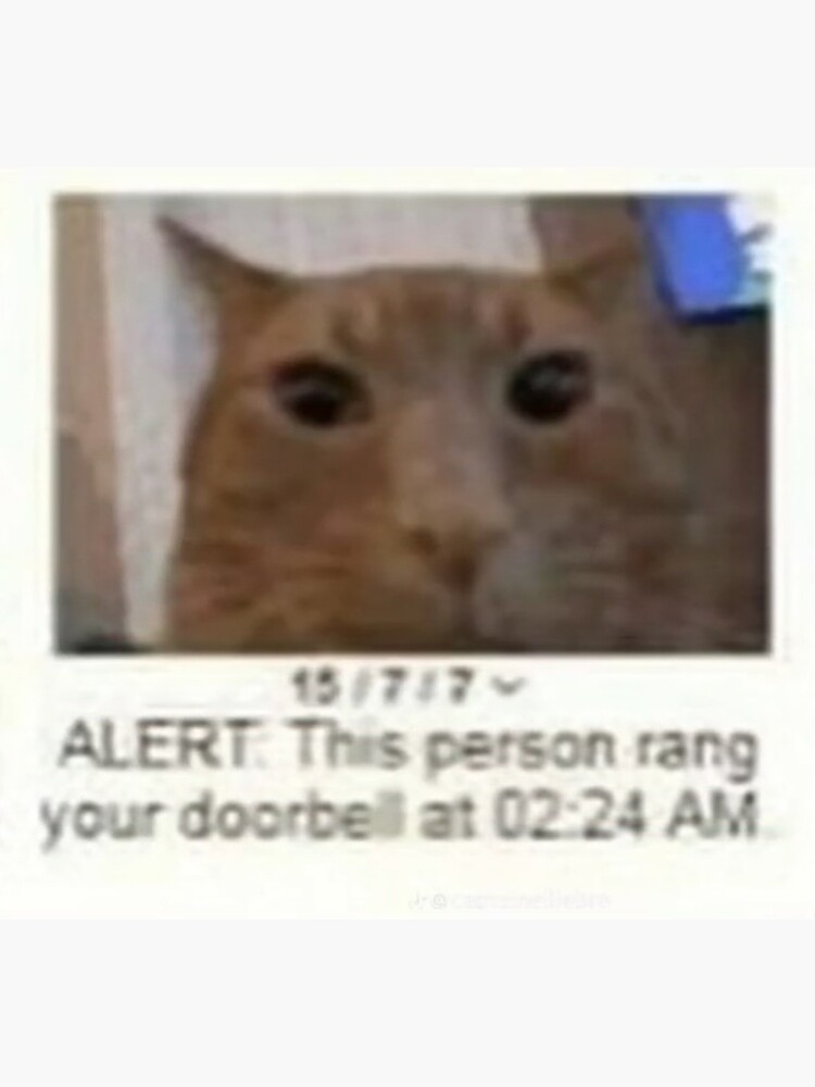 "Orange cat meme this person rang your doorbell" Poster for Sale by ...