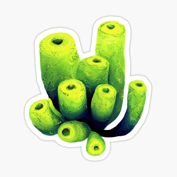 "Sea Sponge" Sticker for Sale by Minnie-Small | Redbubble