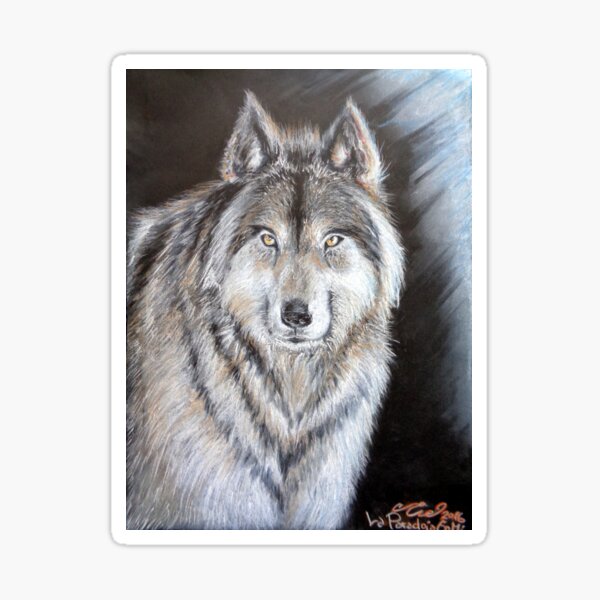 "Stephen wolf" Sticker for Sale by Laparadojaenmi | Redbubble