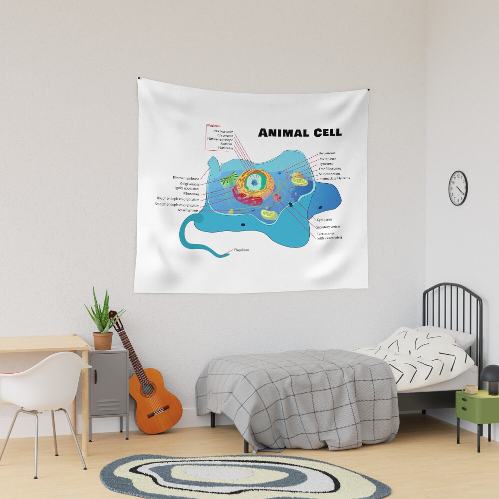 "Structure of a Typical Animal Cell" Poster for Sale by allhistory ...