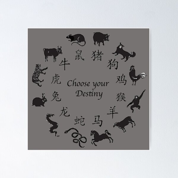 "Choose Your Destiny" Poster for Sale by Zeus-Prime | Redbubble
