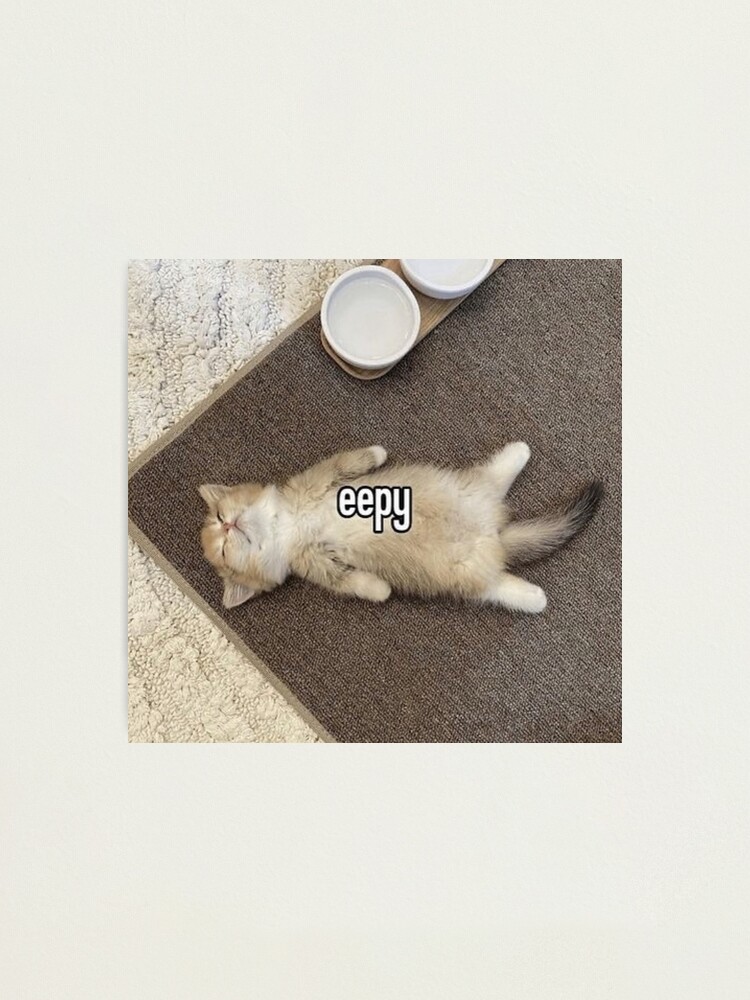 "Eepy Kitten Meme" Photographic Print for Sale by yuccaroot | Redbubble