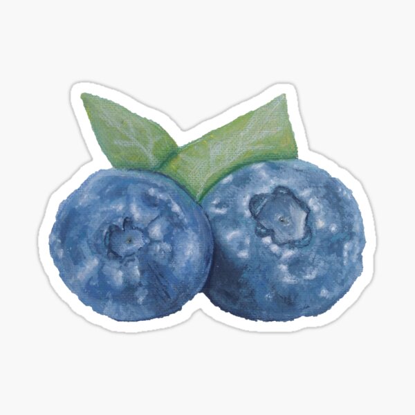 "Blueberry painting" Sticker for Sale by AnnaE-Designs | Redbubble
