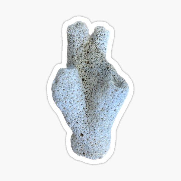 "Peace coral" Sticker for Sale by Snips-Skyguy | Redbubble
