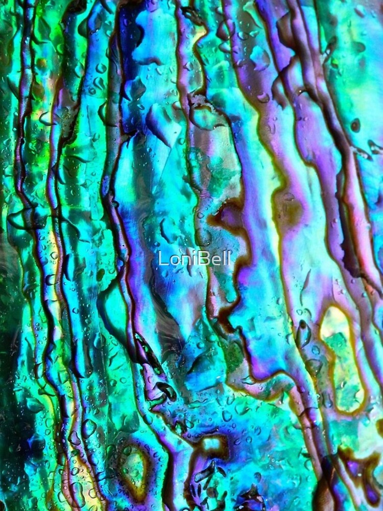 "Abalone Shell" iPhone Case for Sale by LoniBell | Redbubble