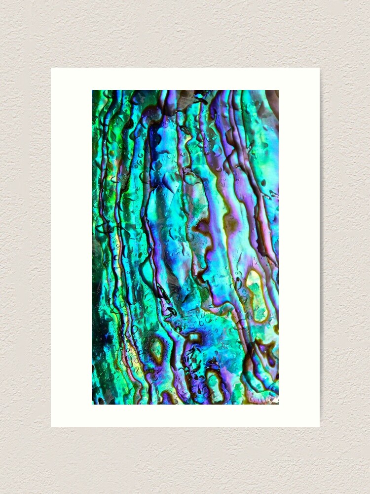 "Abalone Shell" Art Print for Sale by LoniBell | Redbubble