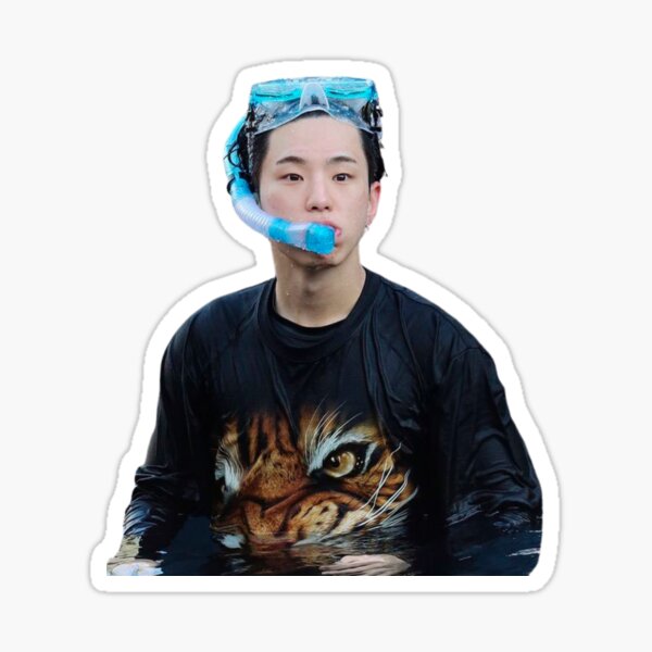 "hoshi swimming" Sticker for Sale by gimbapabi | Redbubble