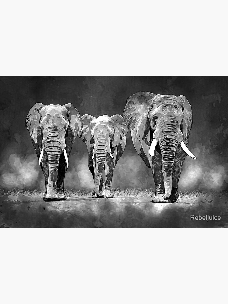 "Digital art from the African Bush, Zambia, Luangwa Valley. 3 Proud ...