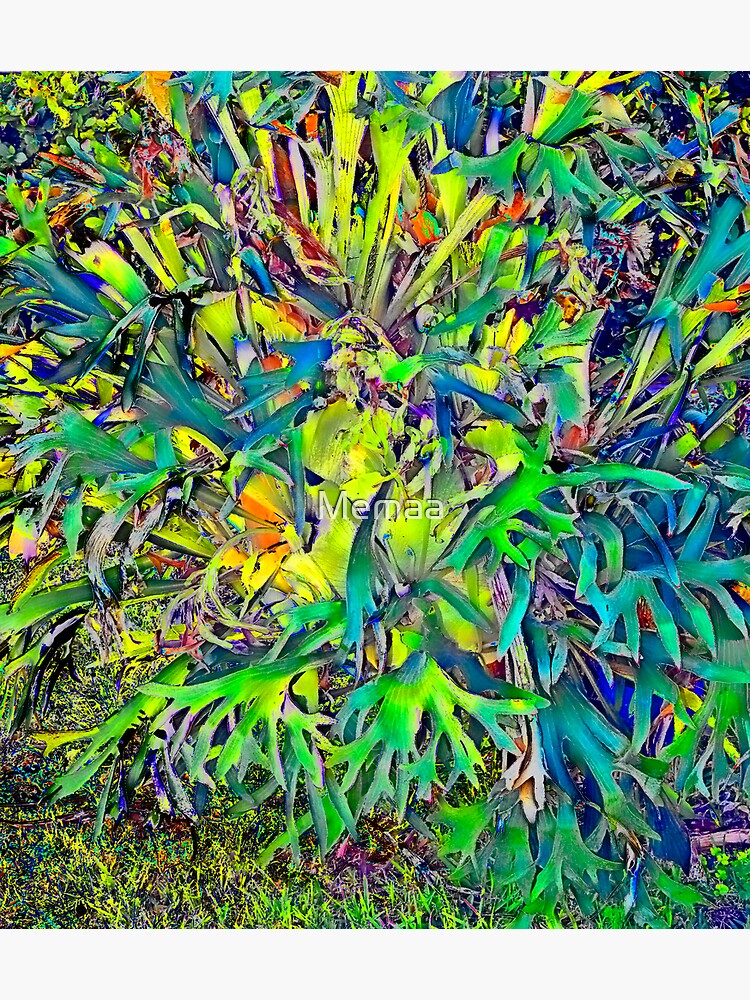 "Stag Horn Fern - Solarized" Art Print for Sale by Memaa | Redbubble