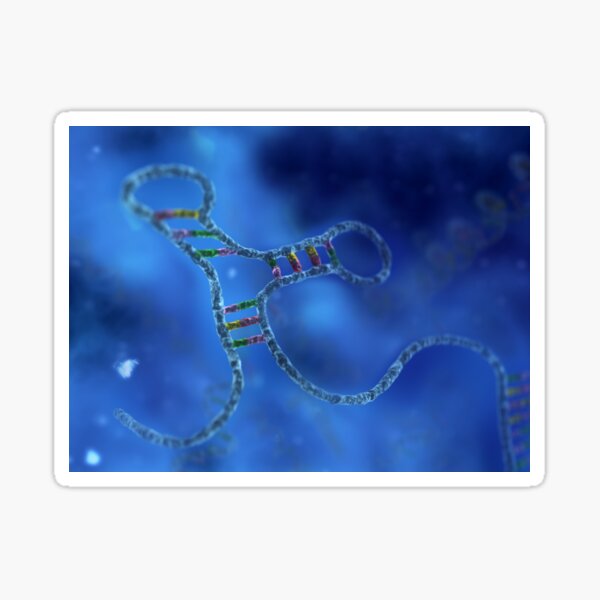 "RNA Interference (RNAi)" Sticker for Sale by equinoxgraphics | Redbubble