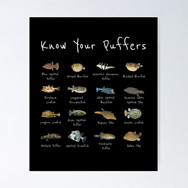 "Puffer Fish Species Gift Marine Biology Diving Ocean" Poster for Sale ...