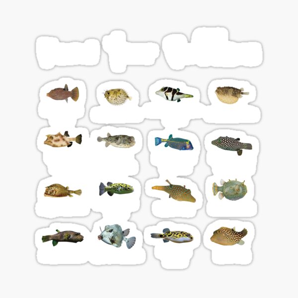 "Puffer Fish Species Gift Marine Biology Diving Ocean" Sticker for Sale ...