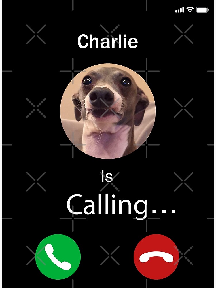Dog Calling Memes