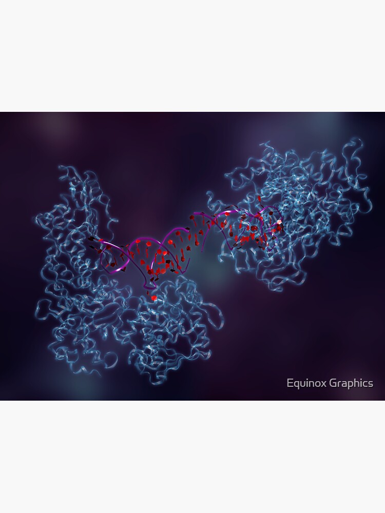 "Metabolic enzyme" Sticker for Sale by equinoxgraphics | Redbubble