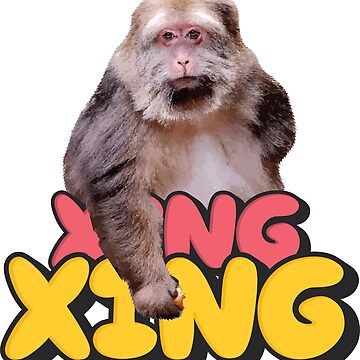 "Xing Xing" Sticker for Sale by esatozcan | Redbubble