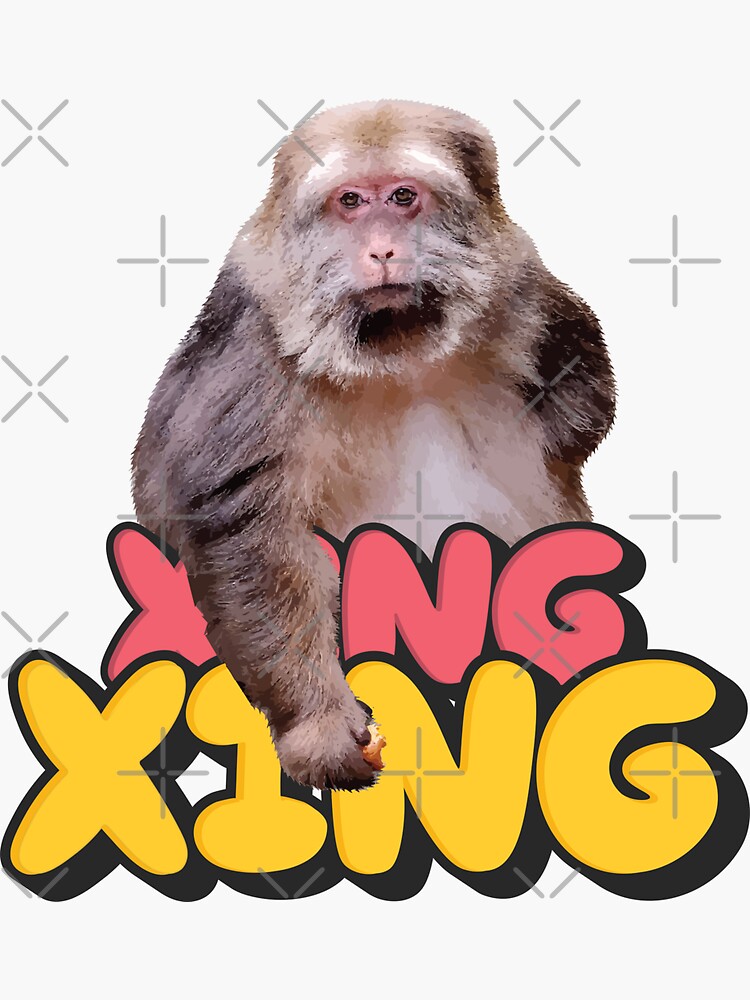 "Xing Xing" Sticker for Sale by esatozcan | Redbubble
