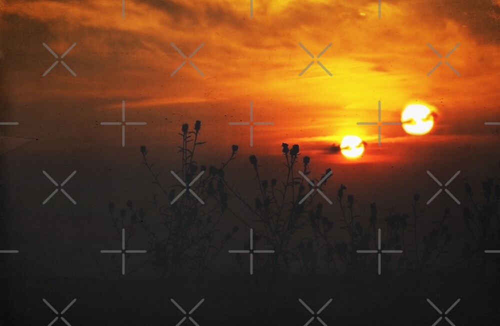 "Binary Sunset" by Denise Abé | Redbubble