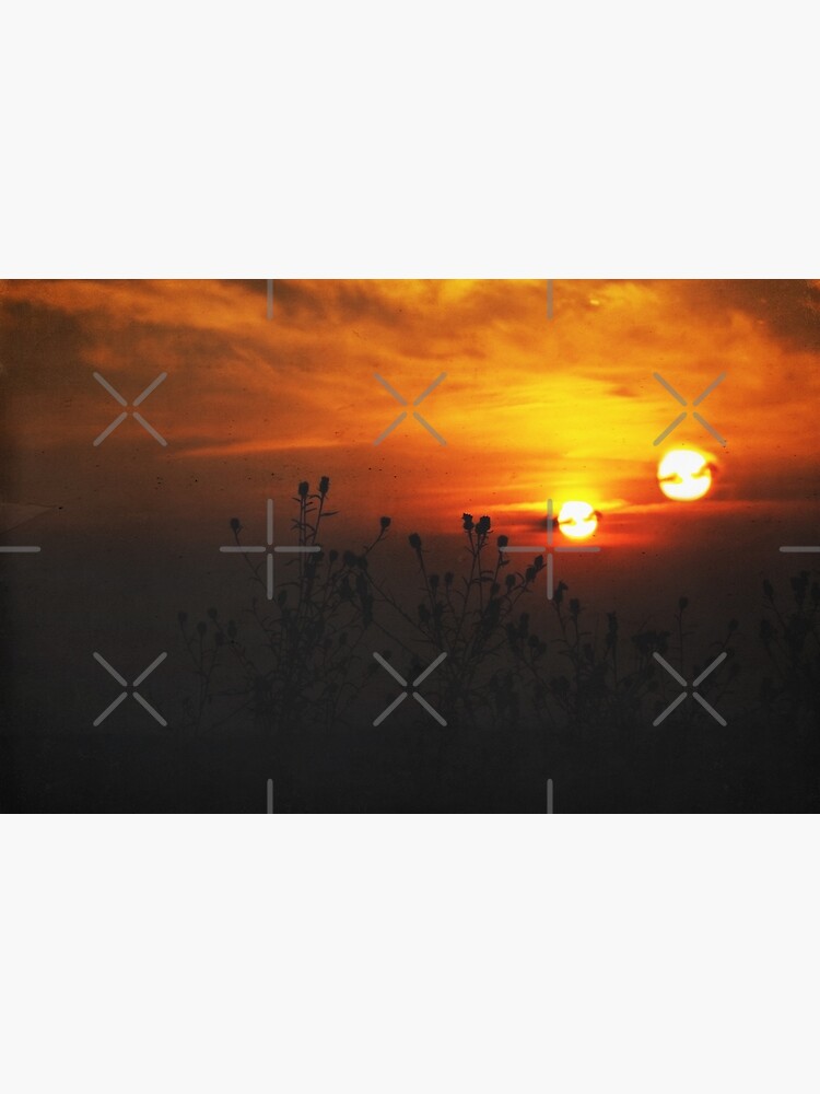 "Binary Sunset" Poster by DeniseAbe | Redbubble