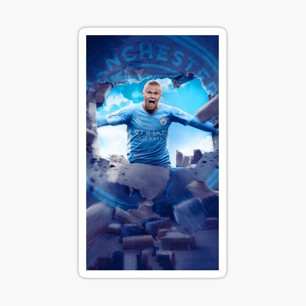 "Erling Haaland" Sticker for Sale by qitehogk | Redbubble