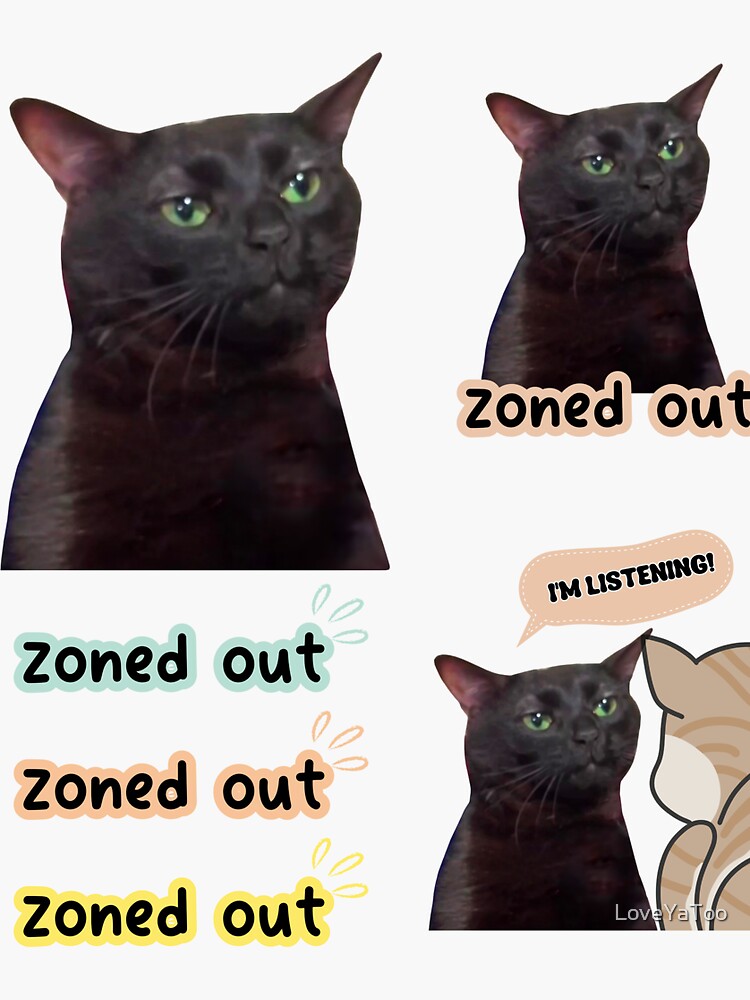 Misunderstood Black Cat Meme