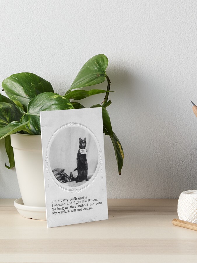"Suffragette Cat" Art Board Print for Sale by jackshoegazer | Redbubble