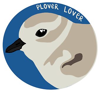 "Piping Plover lover" Sticker for Sale by SarahTolve | Redbubble