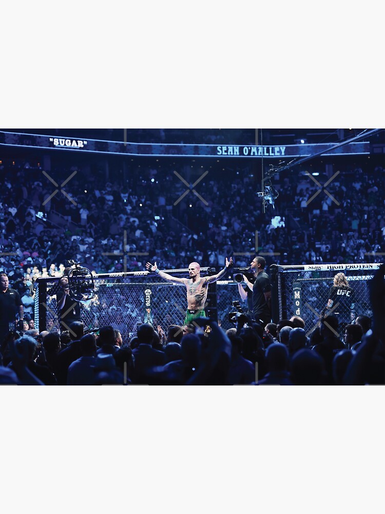 "Suga Sean O'Malley vs. Aljamain Sterling UFC 292 - UFC Bantamweight ...