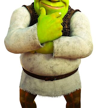 Shrek Oger Meme Shrek Donkey Staring Meme Template — Kapwing