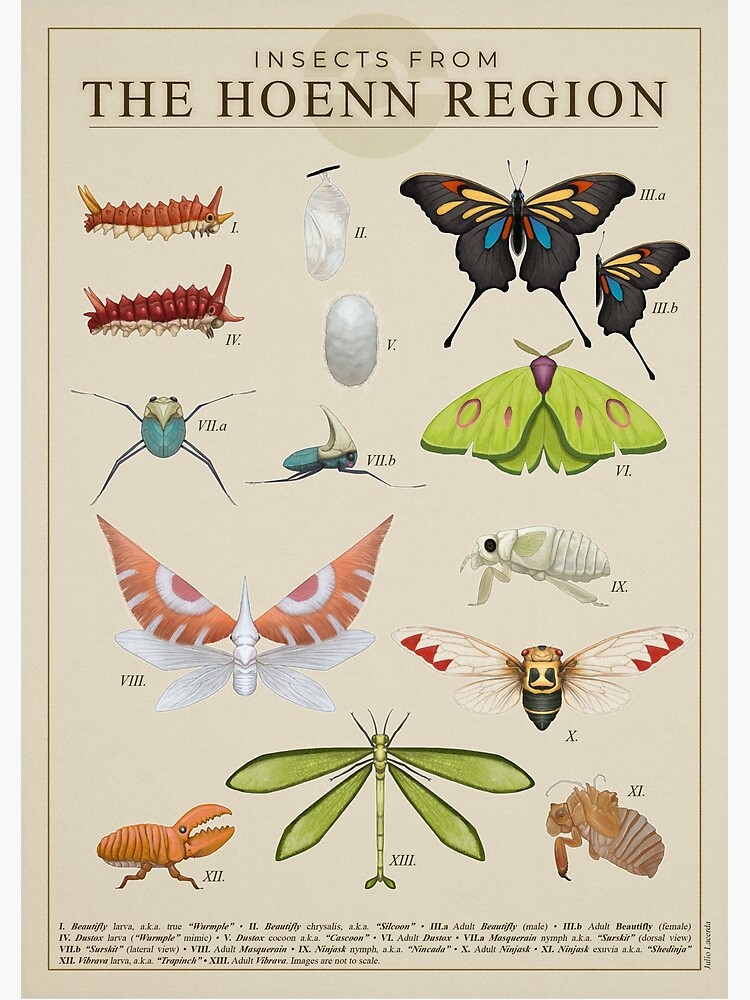 "Insects from Hoenn" Poster for Sale by Julio Lacerda | Redbubble