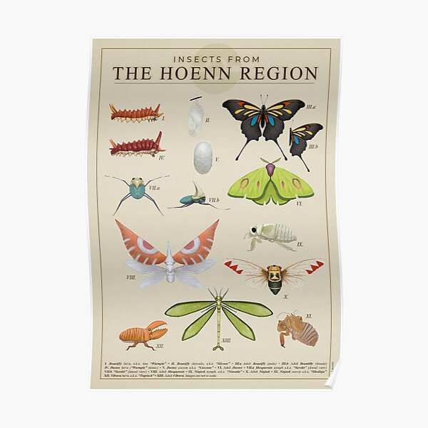 "Insects from Hoenn" Poster for Sale by Julio Lacerda | Redbubble