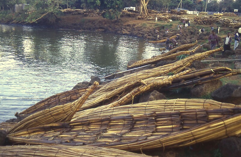 "Papyrus Boats, Lake Tana, Bahir dar, Ethiopia." by Peter Stephenson ...