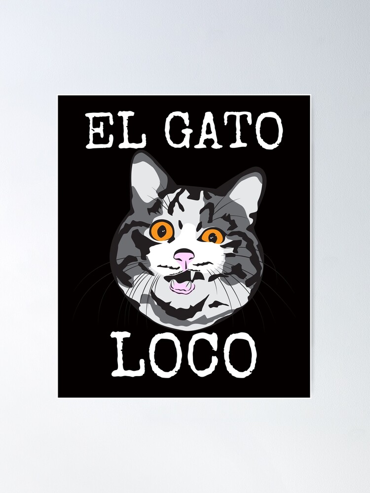 Fotos Gato Loco Founders Mad Cat El Gato Loco Fredy Meza – Rare