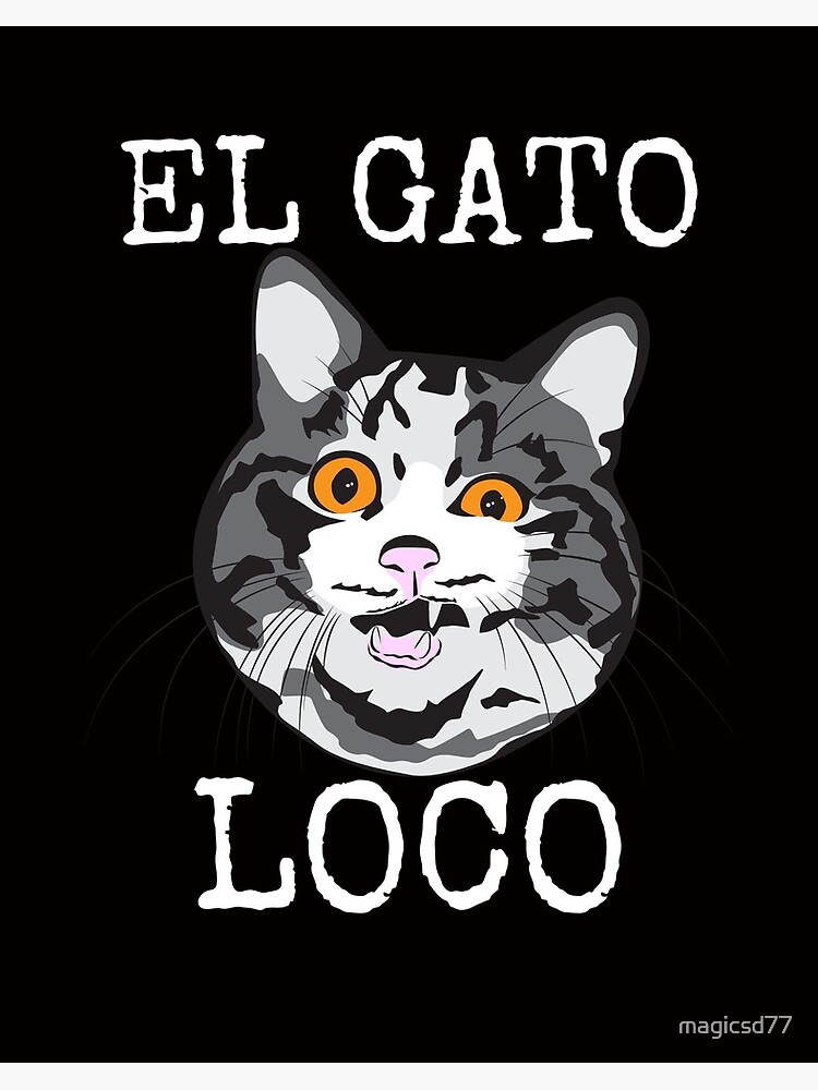 Fotos Gato Loco Founders Mad Cat El Gato Loco Fredy Meza – Rare